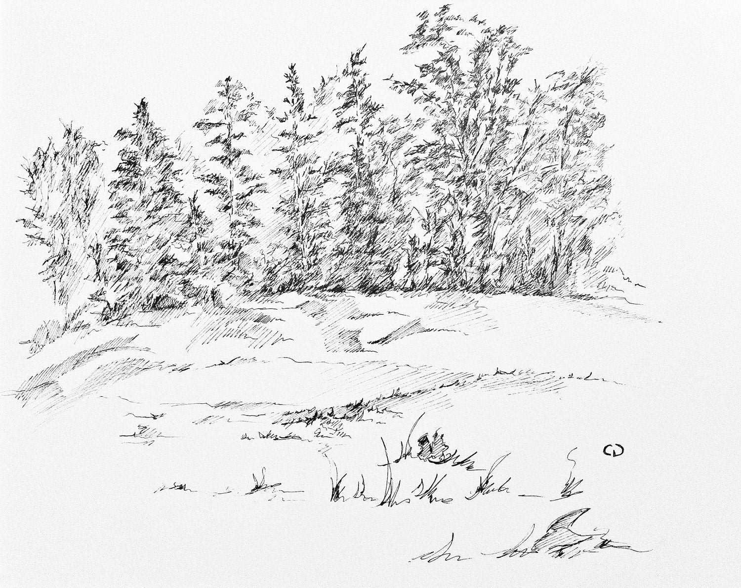 Tree Line Original Pen & Ink Drawing by Corey Gearhart