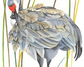 Original Wildlife Artwork by Rene' C. Reyes by reyespaintings