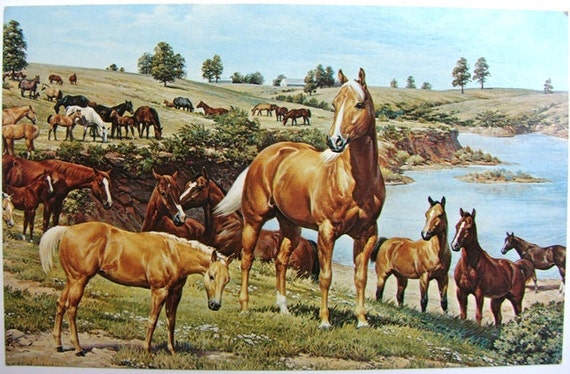 Cutter Bill and his Foals by maimiesmerchantile on Etsy