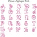Pizazz Font Applique Design 4x4 and 5x7 Applique Machine