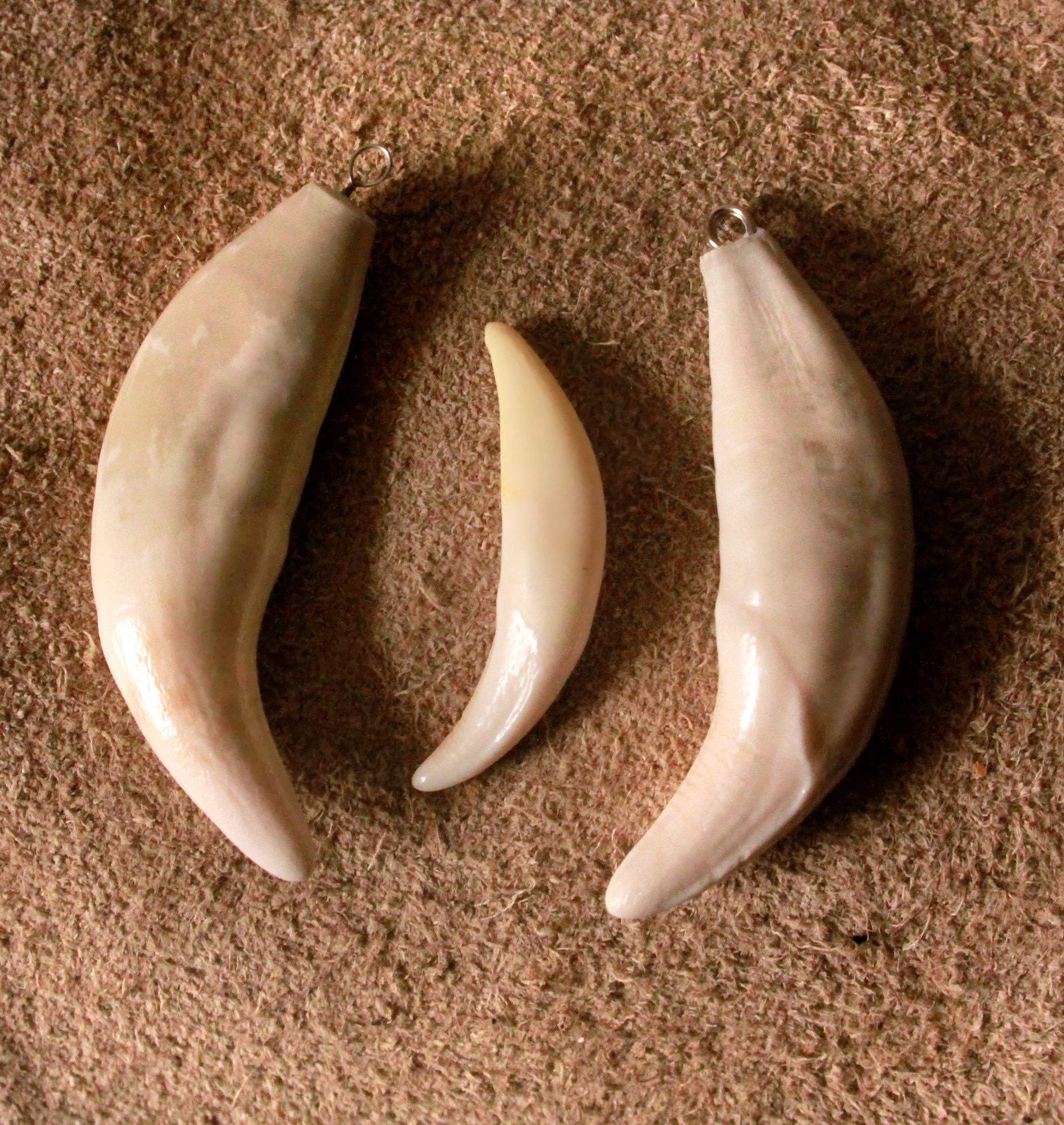 RESERVED Real Timber Wolf Tooth Pendant by NaturePunk on Etsy