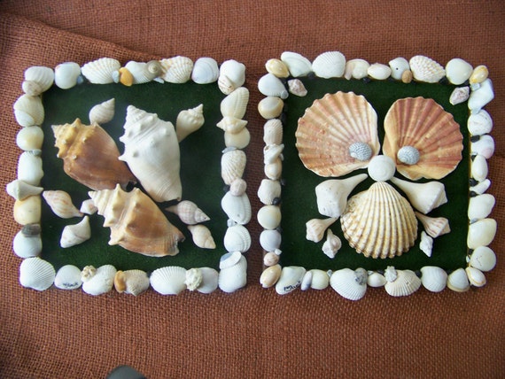 Natural Seashell Beach Decor Wall Set Framed Free