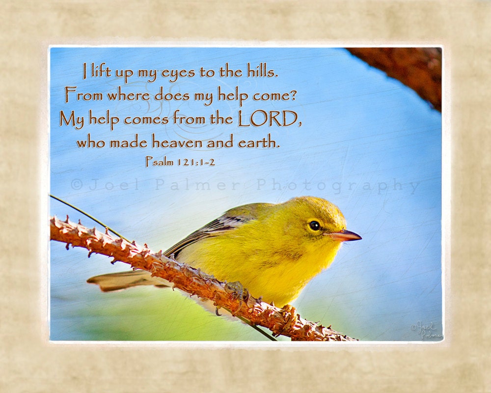 Yellow Bird on Tree Branch Blue Sky Scripture Art Print Bible