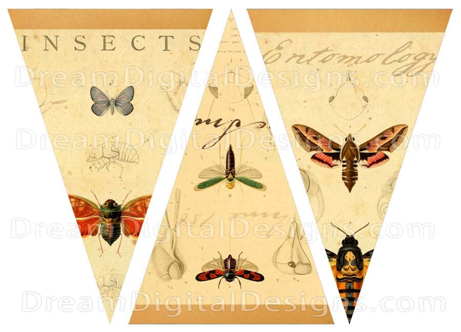 301 Moved Permanently