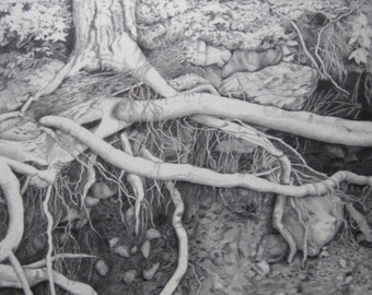 Hanging 'Round Garlic drawing set of 6 cards by JoyousAndArt