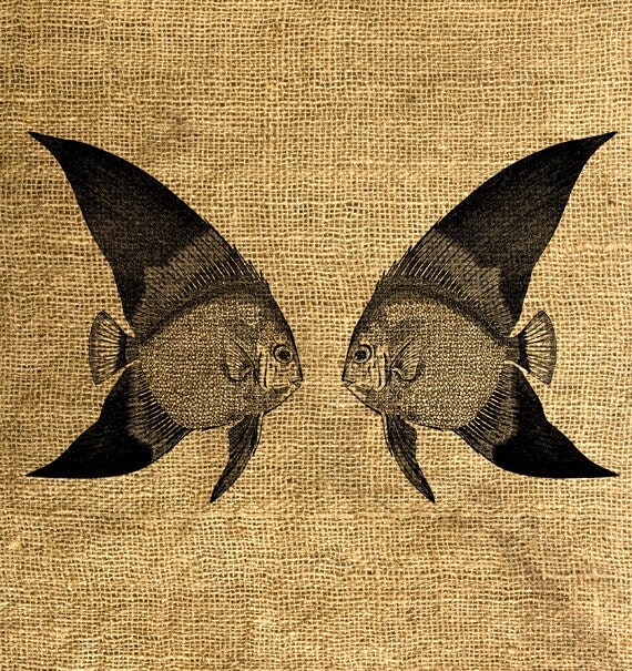 Items similar to INSTANT DOWNLOAD Two Fish Vintage Illustration ...