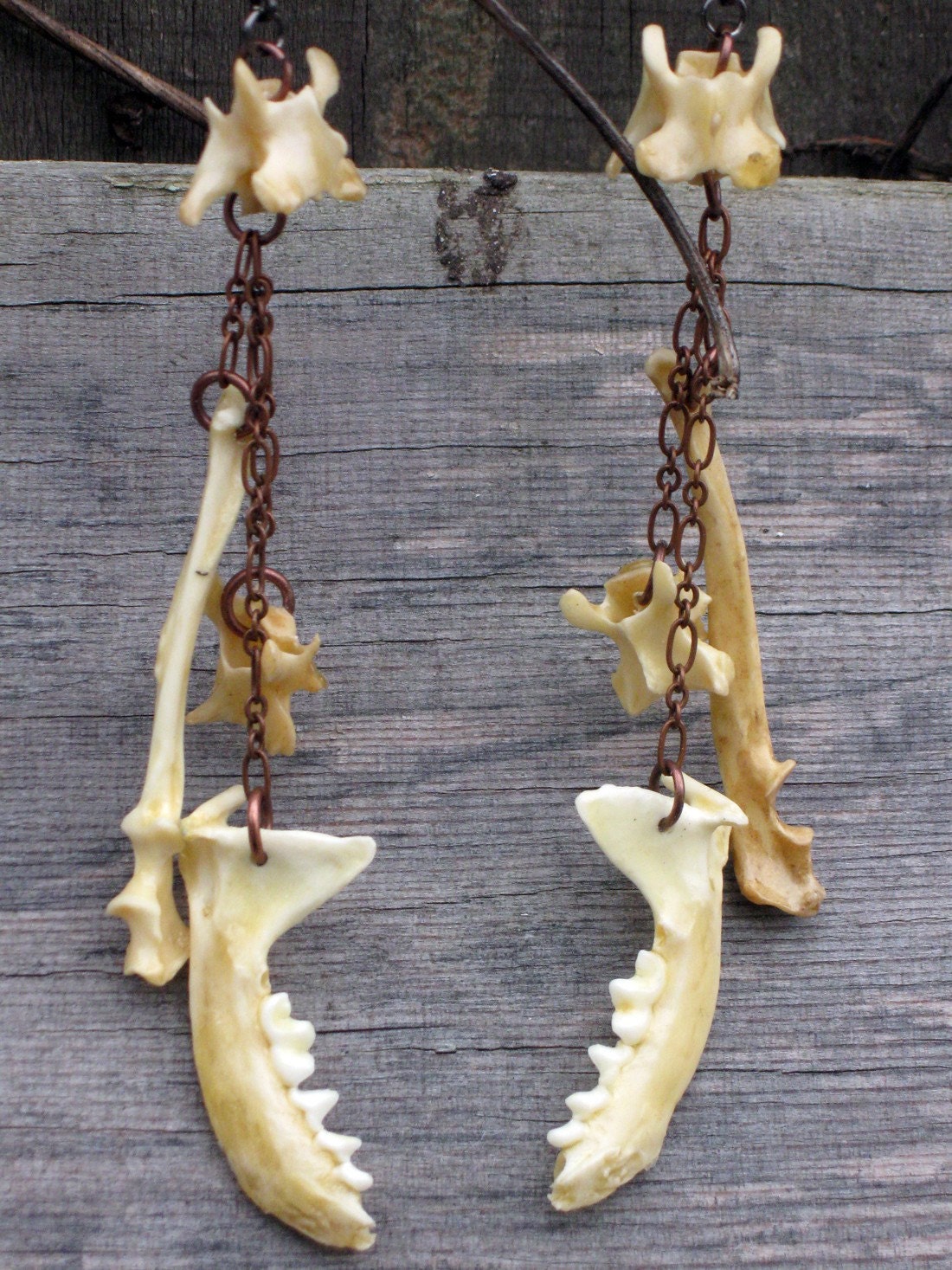 Hand Bone Details