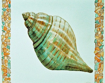 Popular items for tulip shell on Etsy