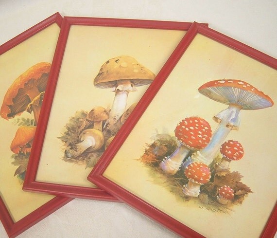 Vintage Retro 70s Mushrooms Red Framed Wall Pictures Prints