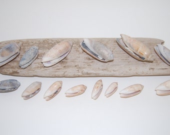 Popular items for lettered olive on Etsy