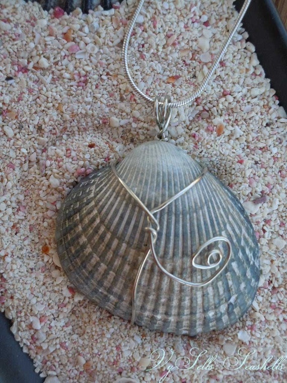 Items similar to Natural Shell Pendant on Etsy