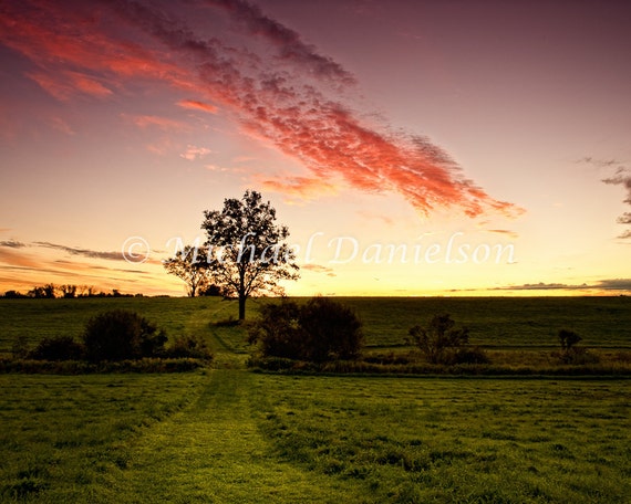 Country Morning Tree Sunrise Photograph Connecticut
