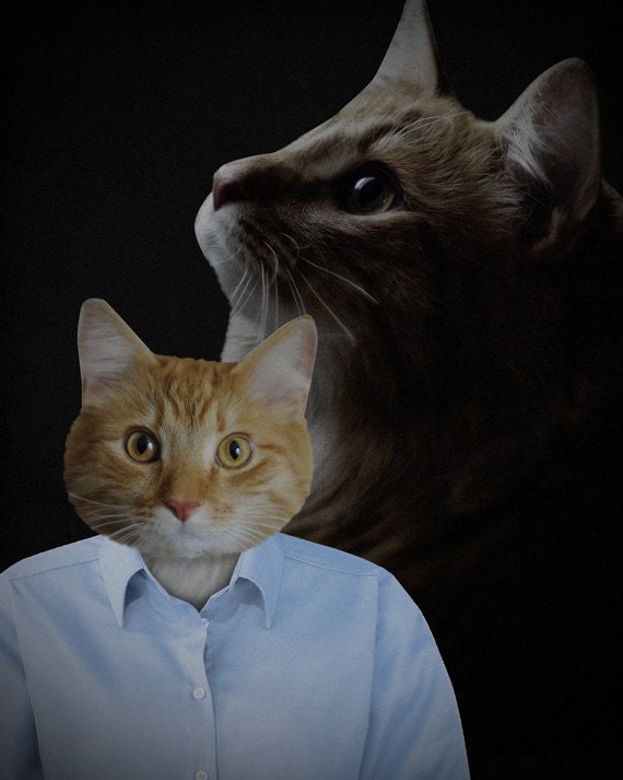 80s Cat Cat Portrait 1980s Portrait Studio Cat 80s by LuciusArt