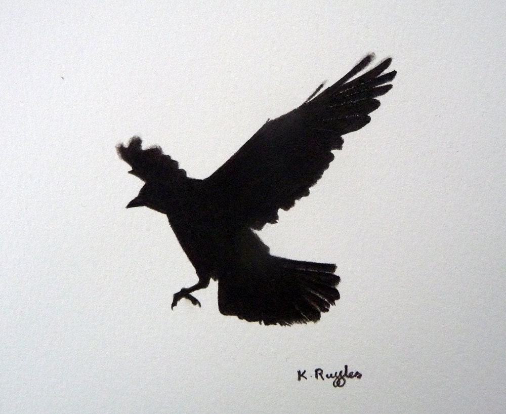 Jackdaw original charcoal sketch crow drawing pencil