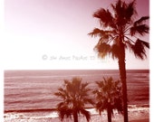 Jason Bogs Photography California & by JasonBogsPhotography