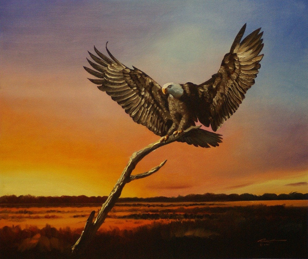 American Bald Eagle Painting