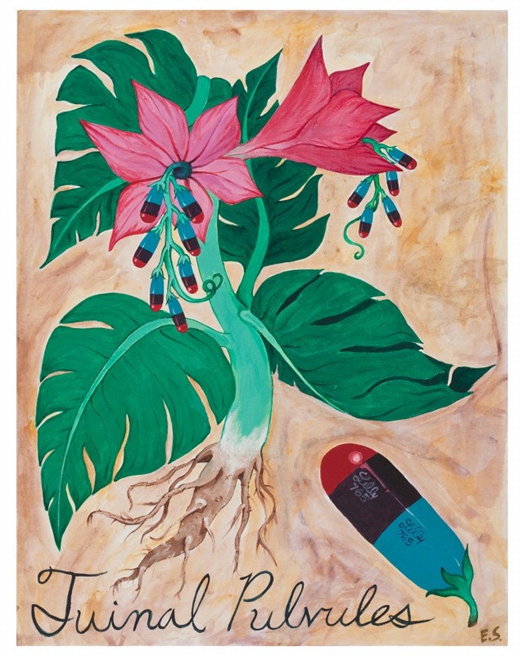 Tuinal Capsules 8x10 Art Print Surreal by elizasteindesigns