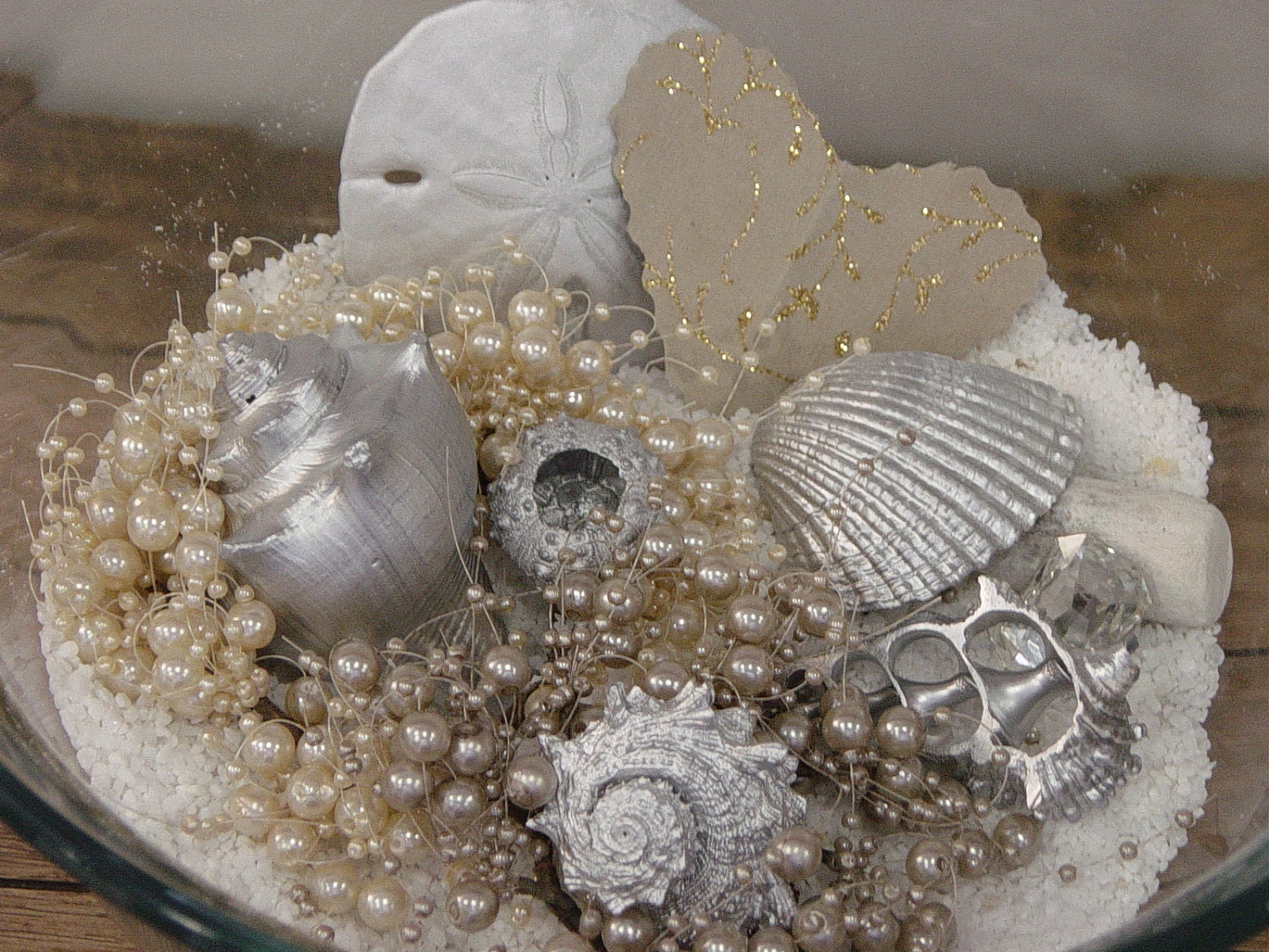 Sea Shell Assortment Silver Beach Decor Wedding Decor