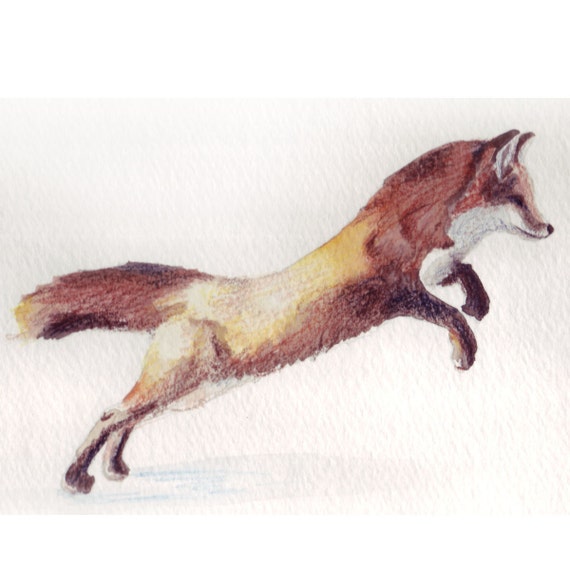 Red Fox Jumping By