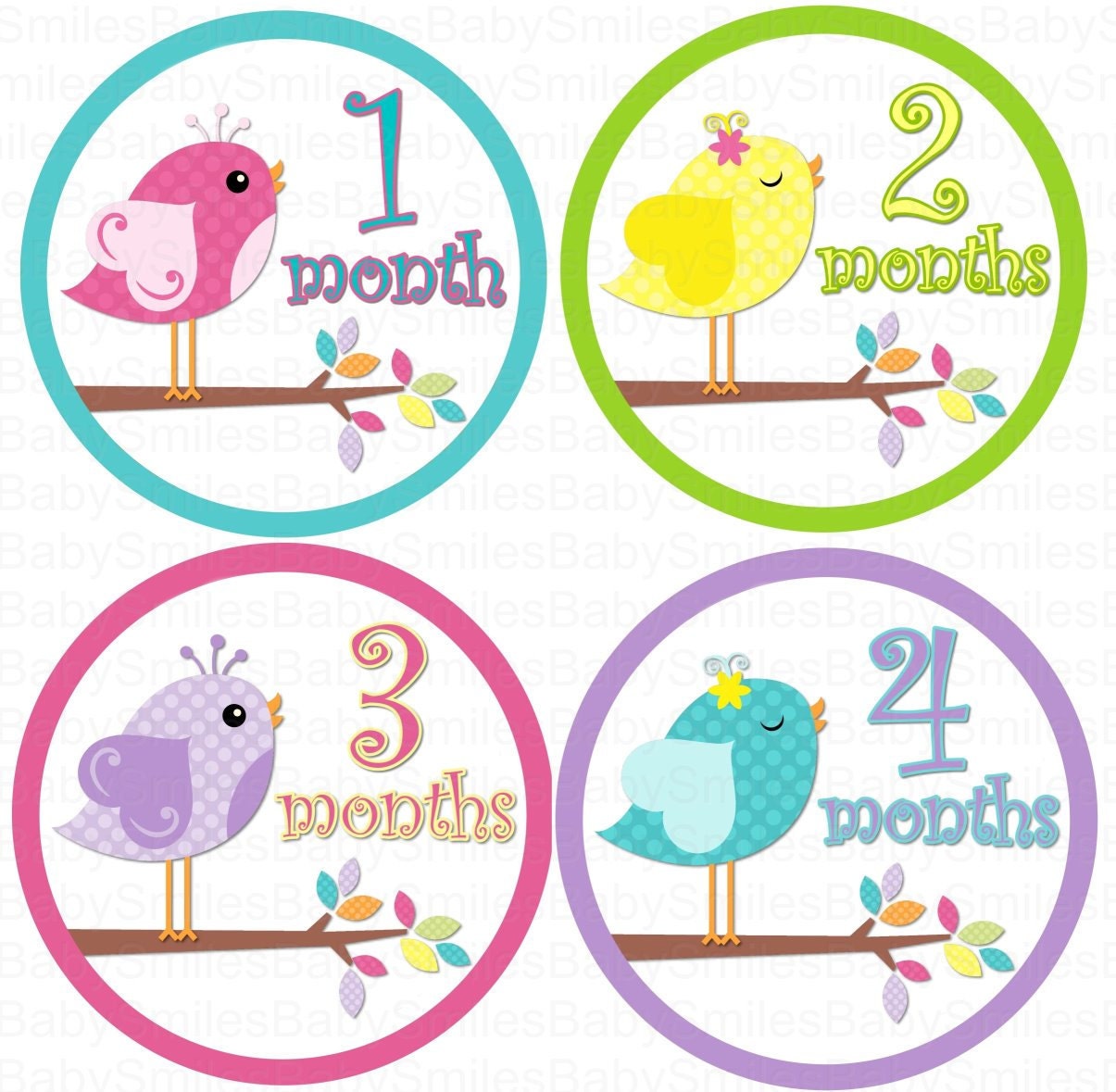 FREE GIFT Monthly Baby Stickers Baby Month Stickers Baby Girl