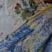 Toile Bedding Duvet Cover Pillow Sham and Dust Ruffle