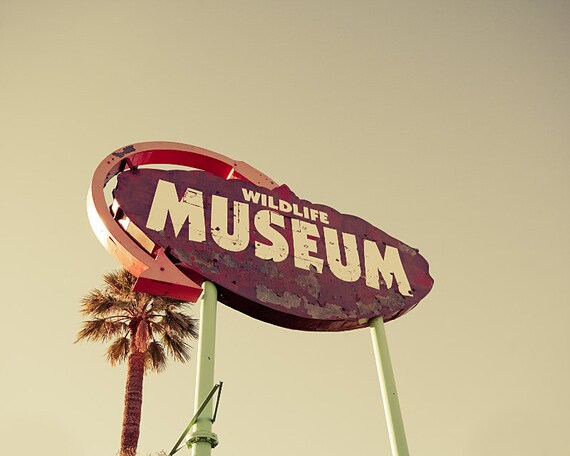 Vintage American Road Sign Americana 1960s Arizona sign