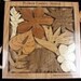 Orchestra Pit Wood Puzzle Brain Teaser