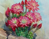 Original California Plein Air Paintings and Studio by ElenaRoche