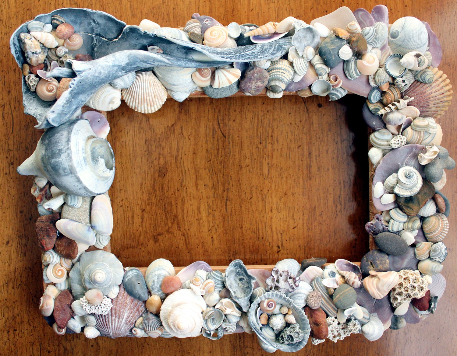 Nautical Decor Sea Shell Frame Natural Purple And Blue
