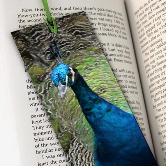 Perfect Peacock Bookmark