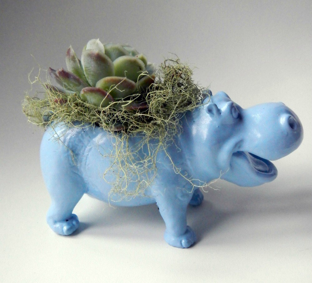 Baby Blue Hippopotamus Succulent Planter Mini by CoastalMoss
