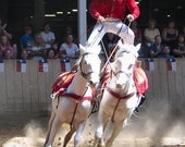 Items similar to Roman Riding rodeo horse trick riding photo 8x10 print ...