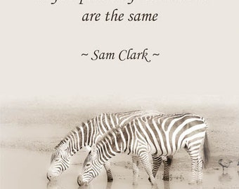 Zebra Quotes. QuotesGram