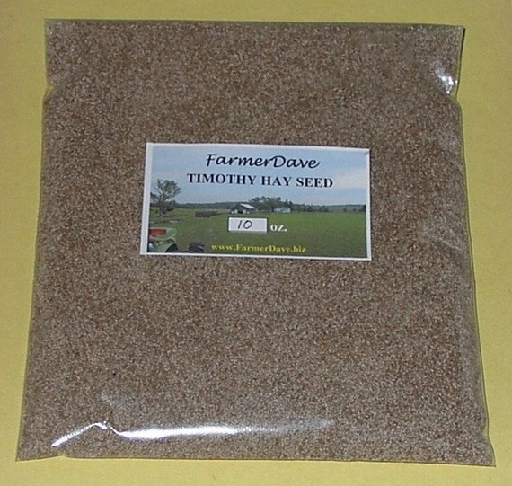 10 oz. TIMOTHY HAY SEED by FarmerDavePetSupply on Etsy