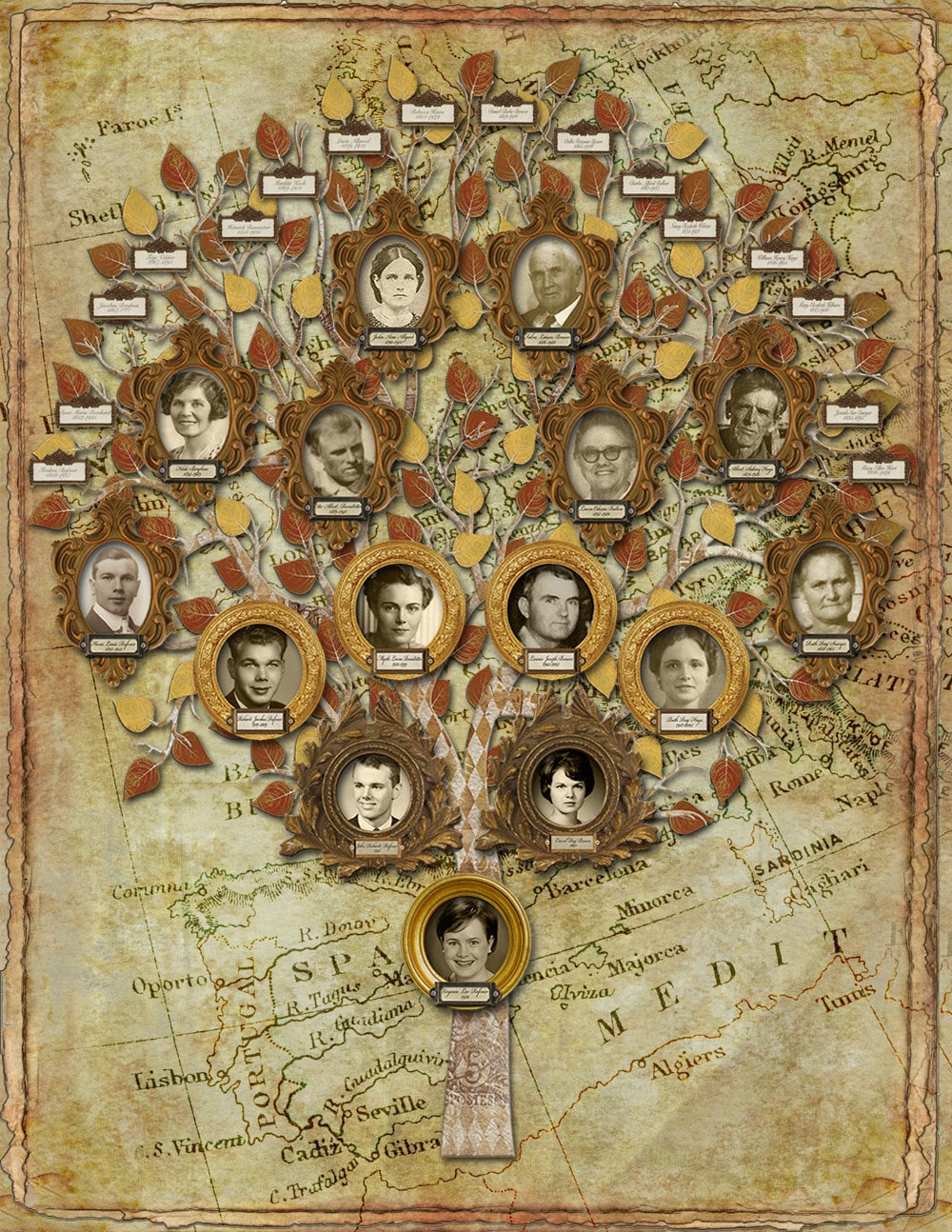 Family Tree Custom Tree with 15 Photos and 16 Labels Map