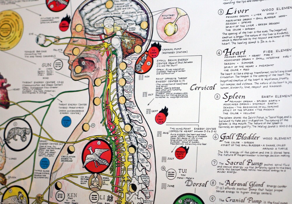 Vintage Taoist Inner Alchemy Healing Poster Anatomical Chart