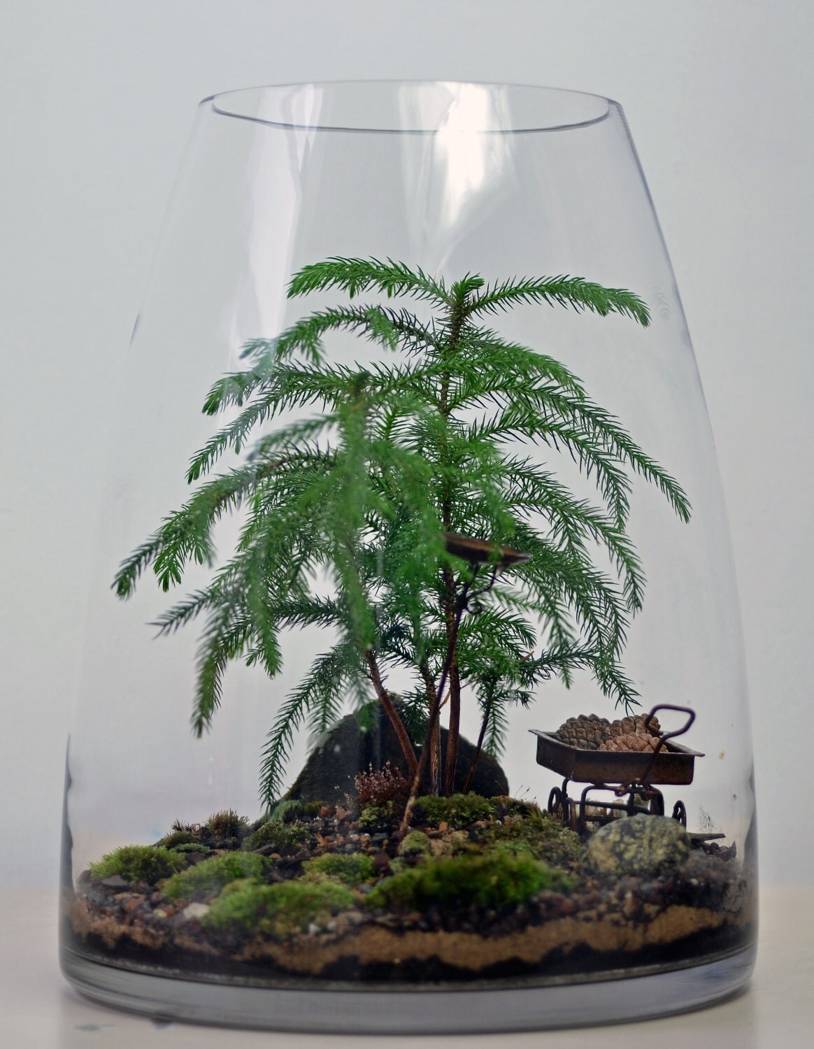 Forest Terrarium with Norfolk Island Pine birdbath and wagon