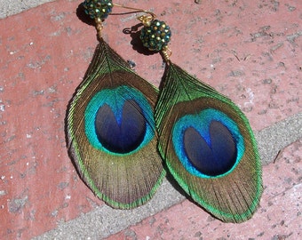 Trimmed Peacock Earrings with Rhinestone Bead
