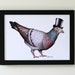 Pigeon in a Top Hat: A4 Print