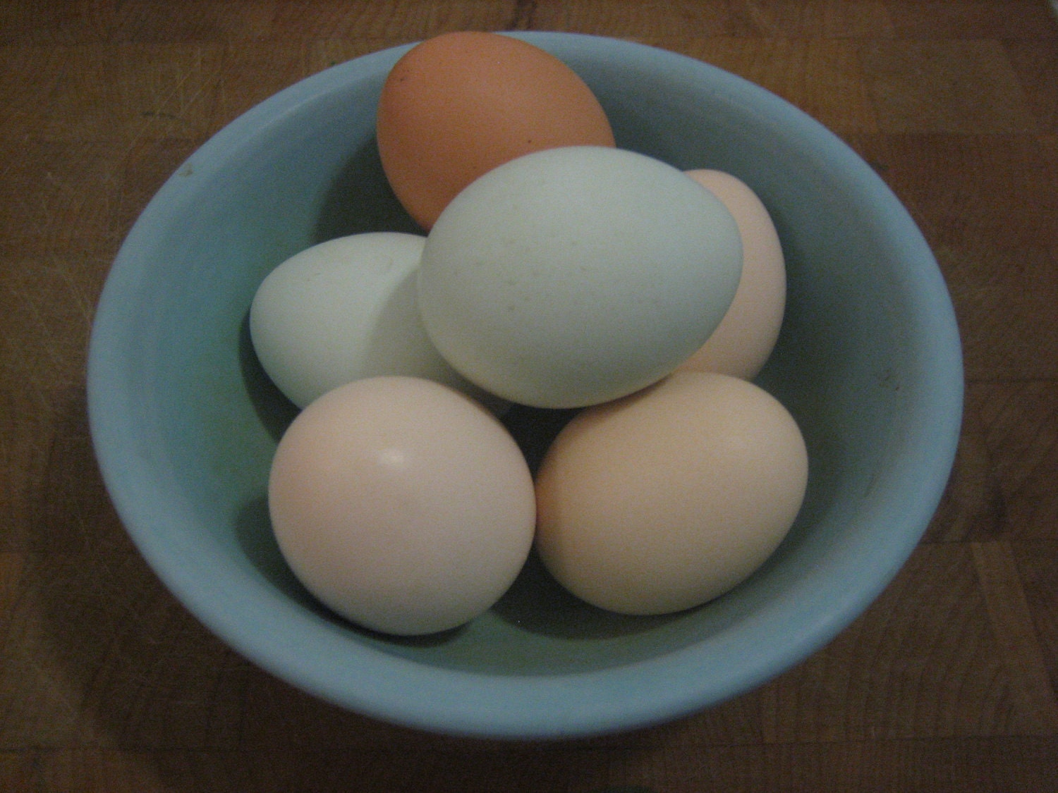 6 Mini Chicken Craft Eggs