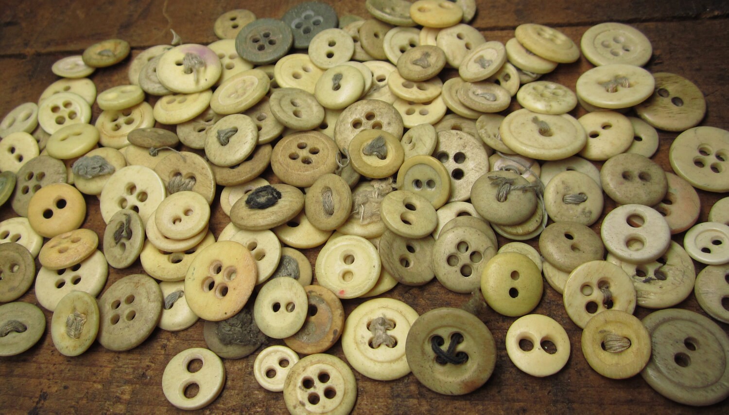 Authentic 1800s Bone Underwear Buttons for Reenactor Period