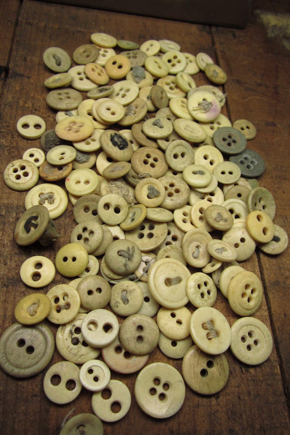Authentic 1800s Bone Underwear Buttons for Reenactor Period