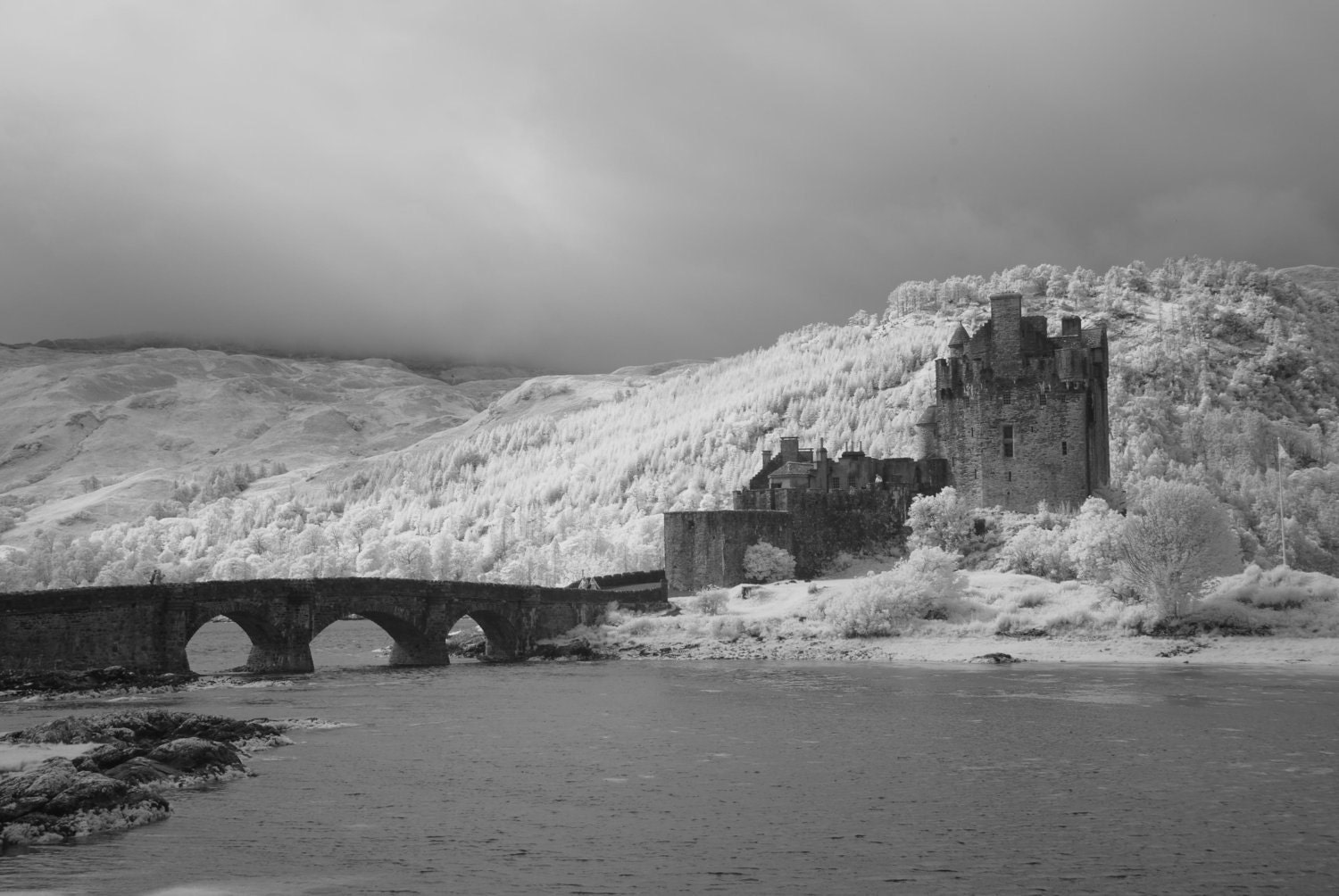 Eileen Doonan Castle Scotland