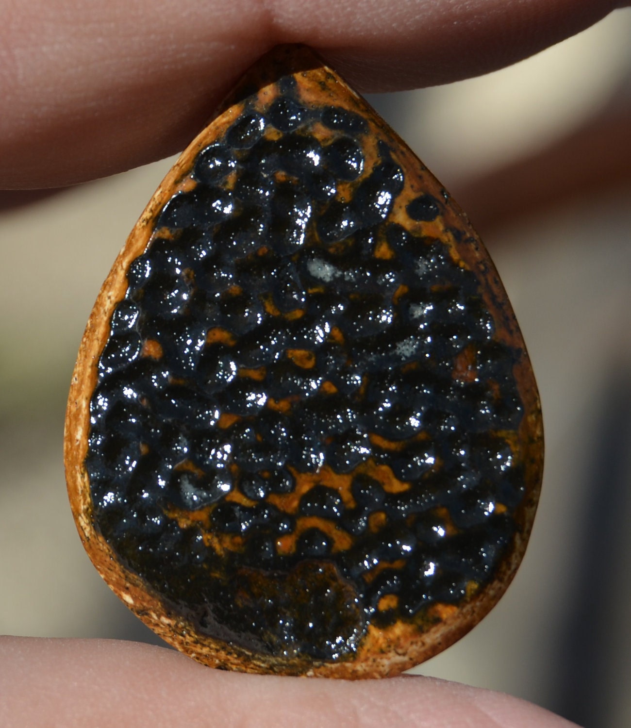 Fossil Turtle shell Guitar pick custom Hand made plectrum