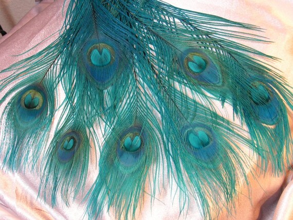 Turquoise Teal Peacock Long Feathers Bulk Lot By Featherandearth