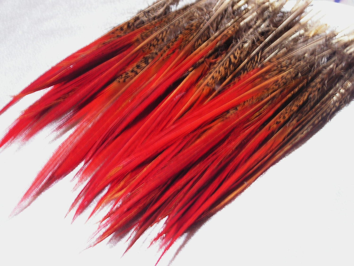 long pheasant feathers golden pheasant feather by FeatherAndEarth