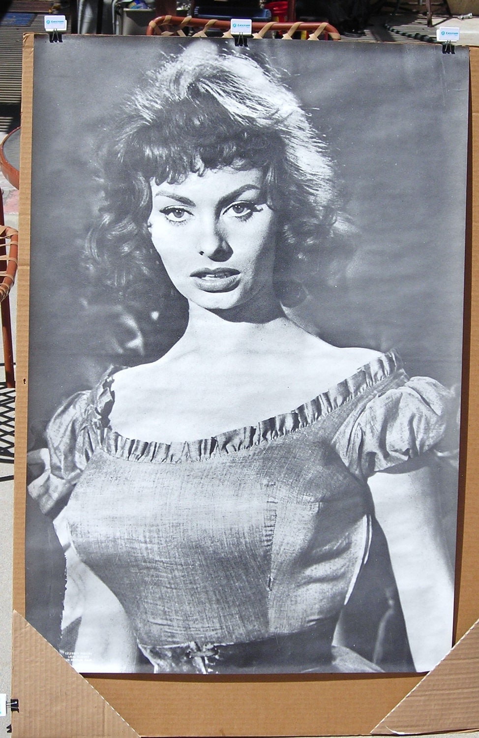 Vintage 1960s Celebrity Movie Posters B&W Sophia Loren