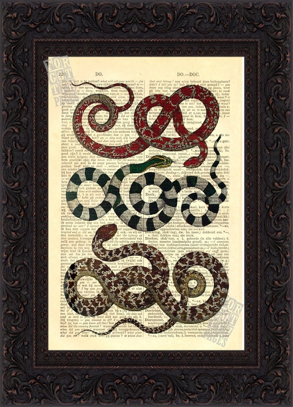 Reptile Vintage Snake engraving on upcycled French English