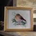 Red Robin print Robin painting bird giclee print watercolor