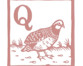 Q is for quail | Etsy